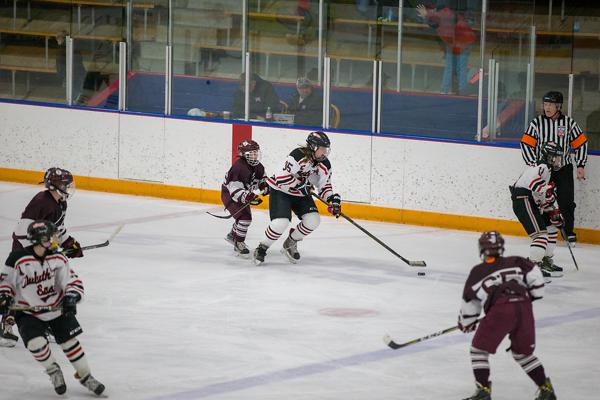 Pro's and Con's of Puck Hogs