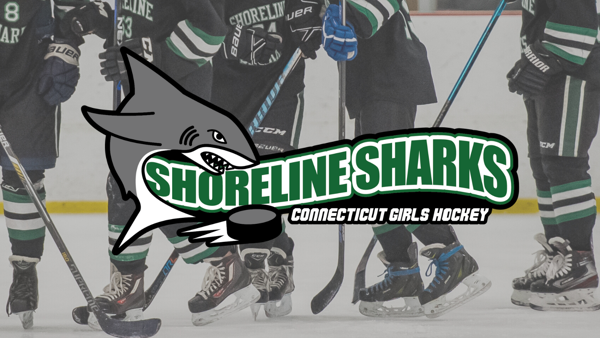 Shoreline Sharks Introduces Six New Board Members