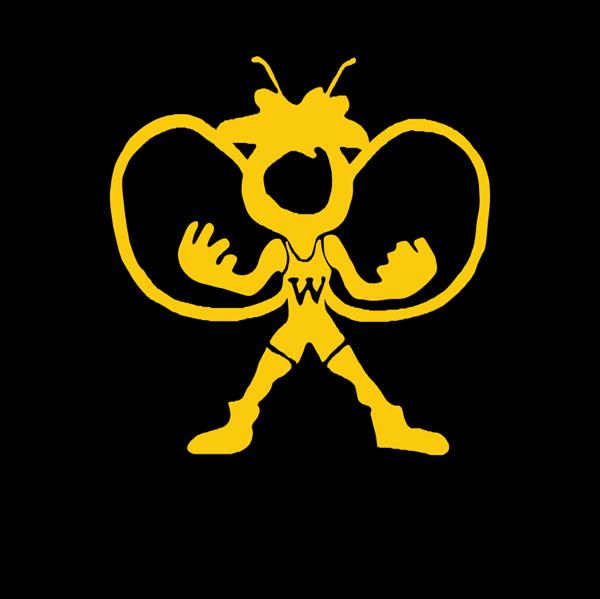 5A Team Preview: Wasatch