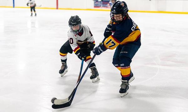 The Importance of Stick on Puck Play