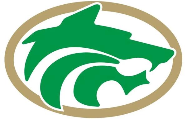 SOFTBALL ROUNDUP: Caroline Stanton powers Buford in win over Mountain View