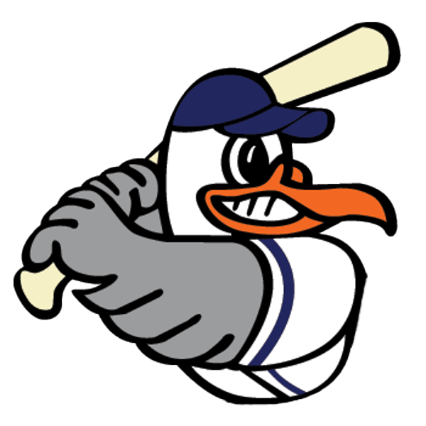 Jr Gulls 13u White rebounds with strong DH sweep