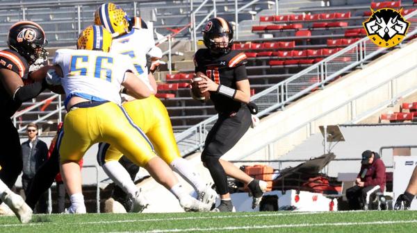 Dave Krieg Award Finalists for top senior quarterback