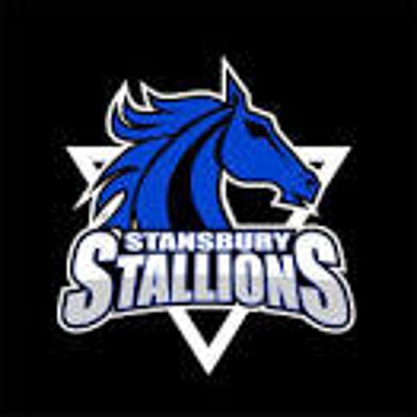 Stansbury Stallions Logo