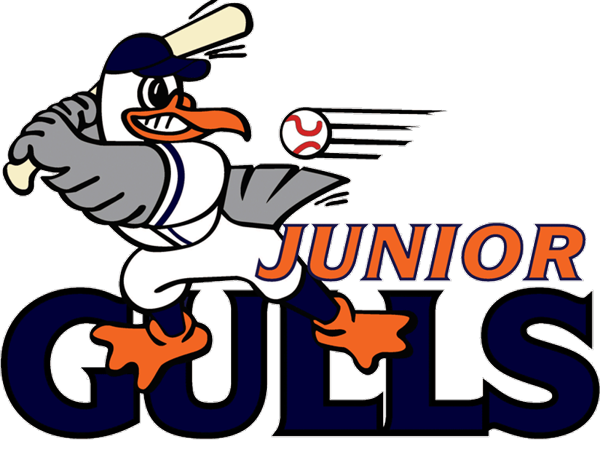 Jr. Gulls 16U White Best Dugout Dawgs in 9th Inning Walk-Off