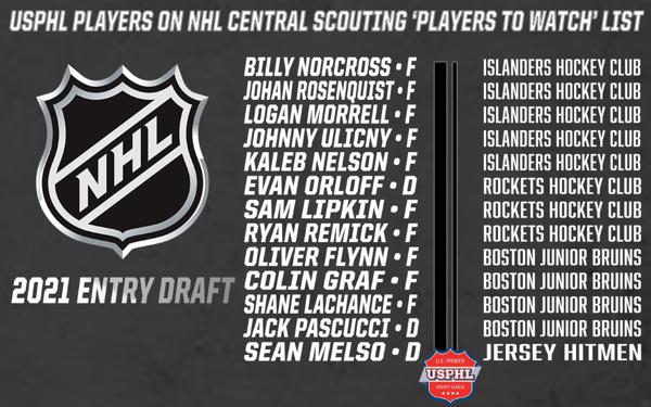 Twelve NCDC Players On NHL Central Scouting Players To Watch List