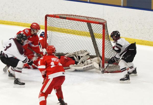 Hockeytown USA vs. State of Hockey