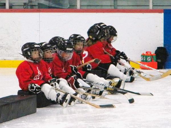 House League, Instructional and Special Hockey Start Dates Announced!