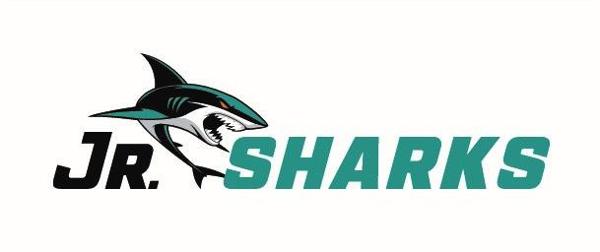 Jr. Sharks Announce Female Ambassadors for upcoming 24/25 Season