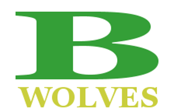 Boys Basketball Tryout Information