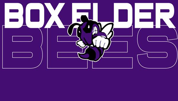 Team Preview: Box Elder