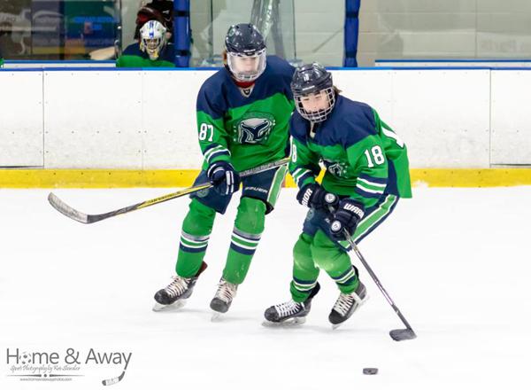 2019 Spring Hockey