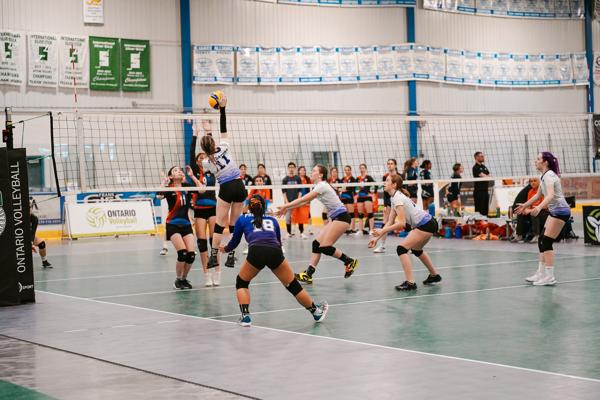 Introducing the OVA Athlete Council