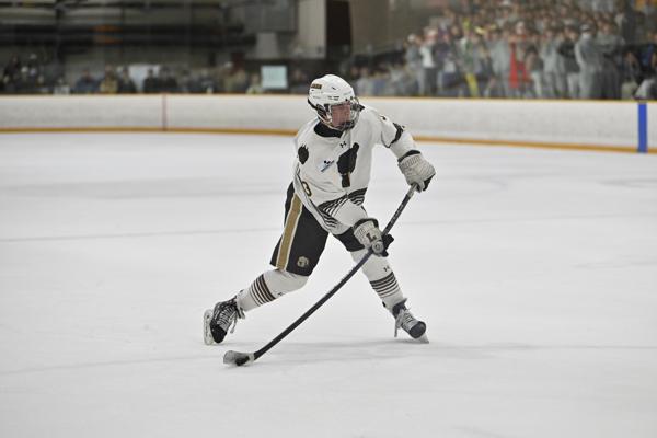 2023-2024 AA DIVISION - MAPHL AWARDS