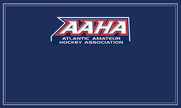 AAHA Coaching Section Announces to Key Promotions to Senior Staff
