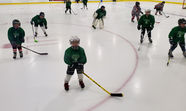 Postponed Tryouts Didn’t Dampen Enthusiasm at Strongsville Youth Hockey ...