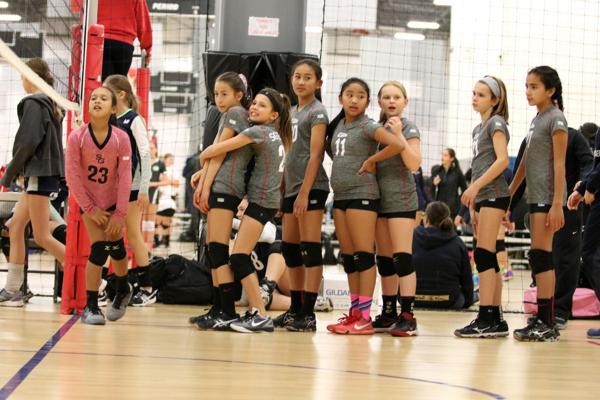 10 ROSHAMBO DIGS ITS WAY INTO THE GOLD DIVISION!