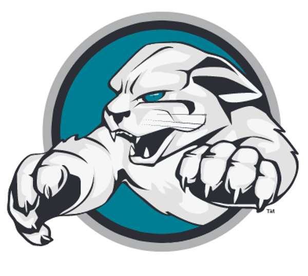 North Pittsburgh Wildcats - Learn to Play