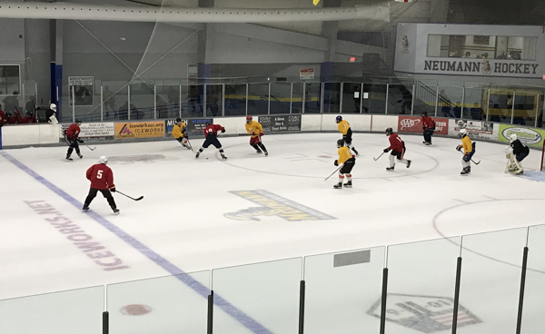 Little Flyers well-represented at Amarillo Bulls camp
