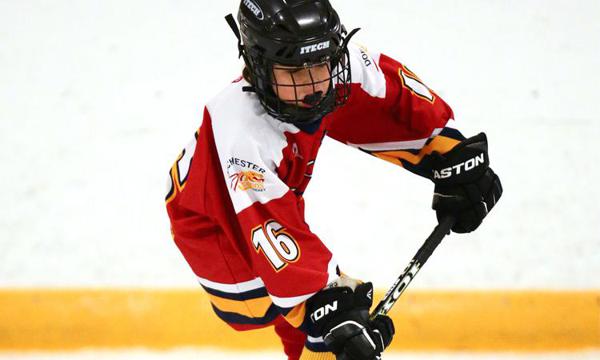 Podcast | Is dump and chase hockey undermining skill?
