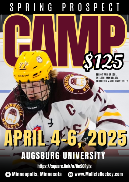 Spring Prospects Camp