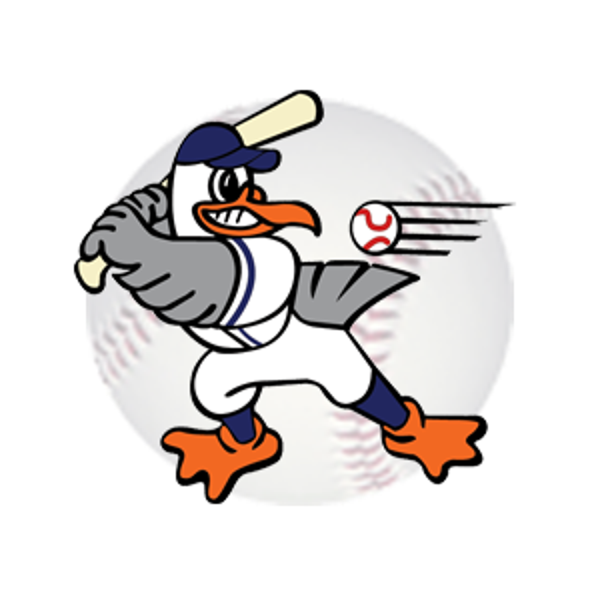Jr. Gulls 17u has a solid start to 2017