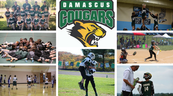 DSA SPORTS INFORMATION
