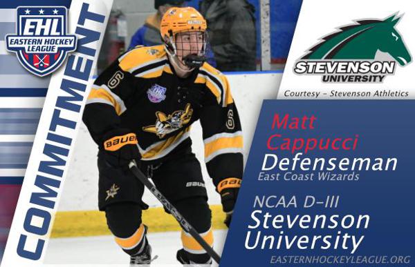 Cappucci Commits to Stevenson University