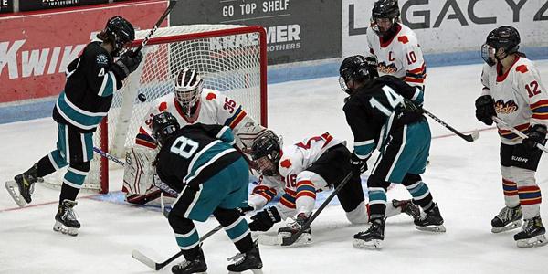 Ice Bears Get the Chance to Defend Their Title