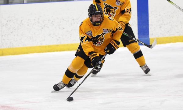 International Experience Helped Lead Florida’s Golden Wolves to ...