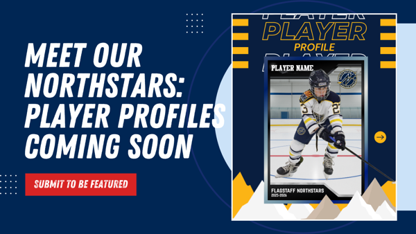 Meet Our Northstars: Player Profiles