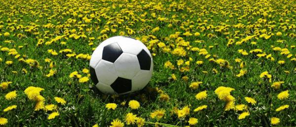 OPSC Spring Soccer League 25' Registration is open