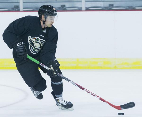 Walleye sign defenseman Kevin Gibson, son of Tigers great