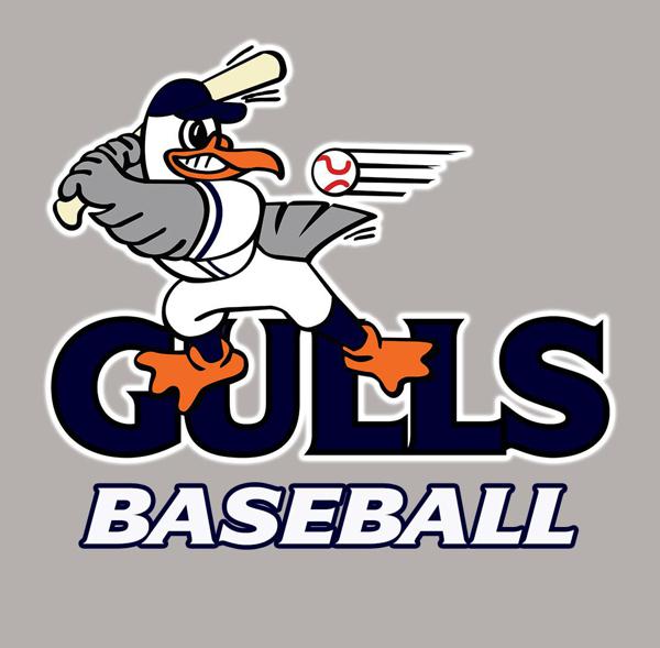 Gulls Baseball unveils strong 14u NEBA team for 2018