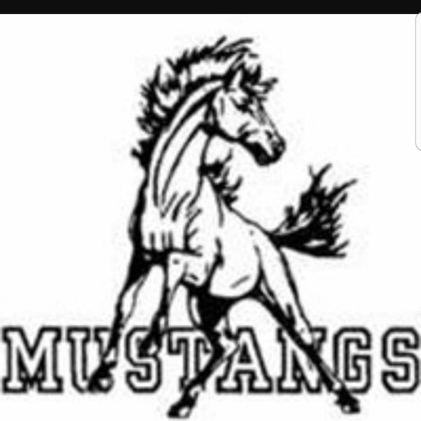 South Carolina Mustangs have a lot to prove in first year