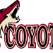 Announcing 2021 - 2022 Jr Coyotes Tier II / Youth Coaches