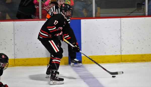 2017 WEHL All-League honors announced