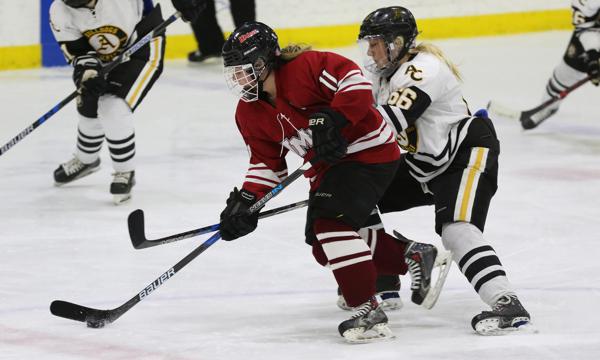 Opportunities Abound