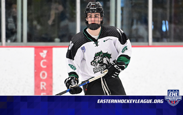 Leale Commits to Saint Michael’s