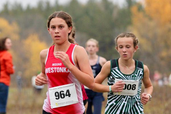 Engesser Advances to State Cross Country Meet