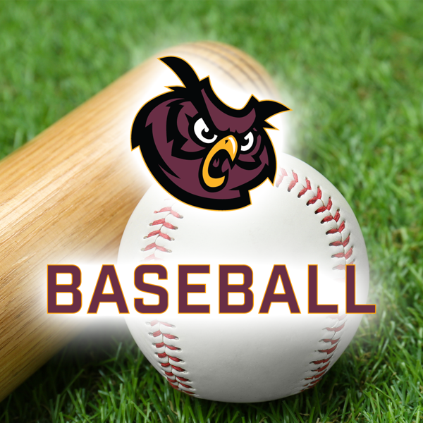 Park Ridge Owls Baseball Camp