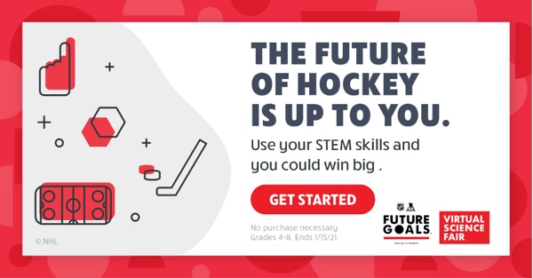 Enter The Future Goals Virtual Science Fair