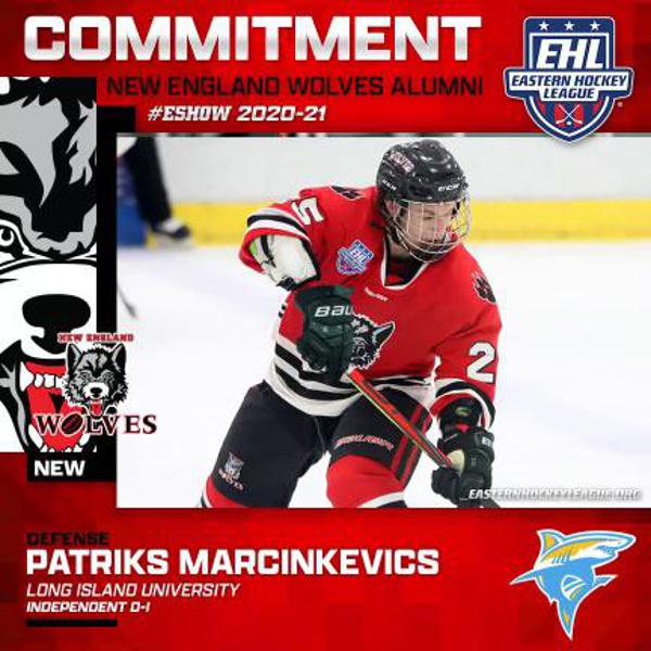 Patriks Marcinkevics Commits to Long Island University