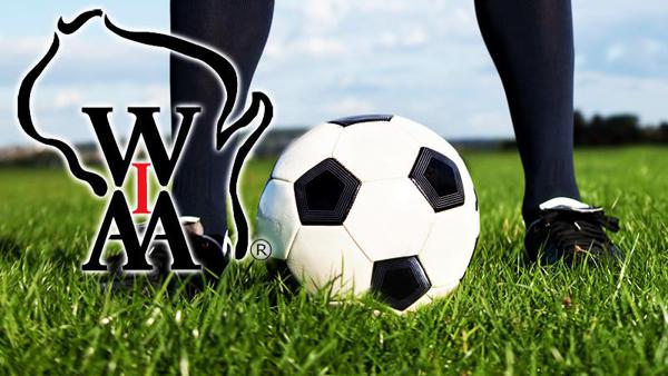WIAA releases 2019 Boys Soccer Playoff Brackets