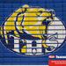 HIGH SCHOOL PREVIEWS - Tahoma Bears