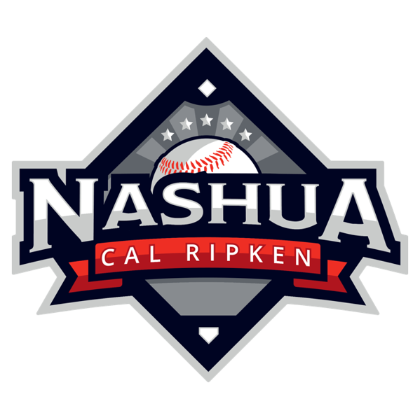 Majors Team Names for Spring 2025 Season