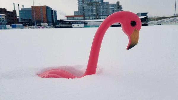 Going Full-Mingo – Forward Madison FC Wants to Be Your Second-Favorite Club