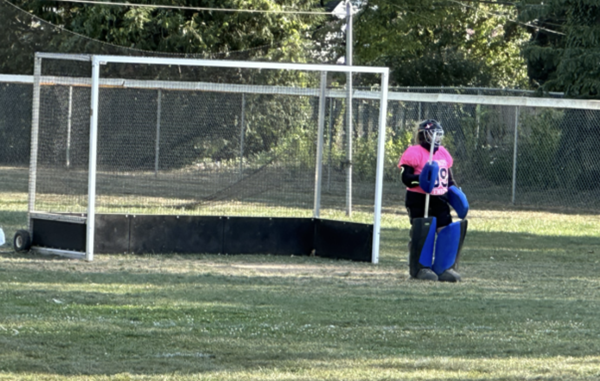 FIELD HOCKEY: Bozzone Inches Closer to 500 Saves; Friends' Central's ...