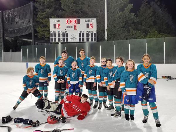 Hammerheads Info Sessions