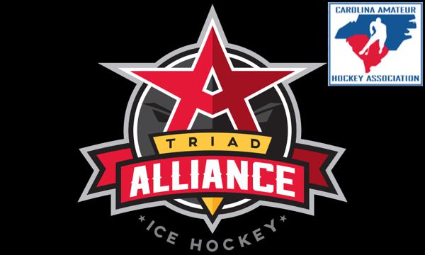 CAHA Strategic Plan Action Steps